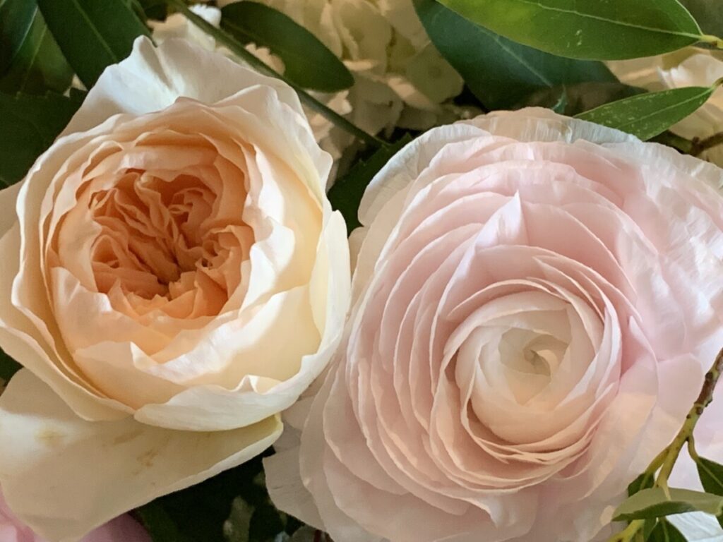 Services – Betsy Bass